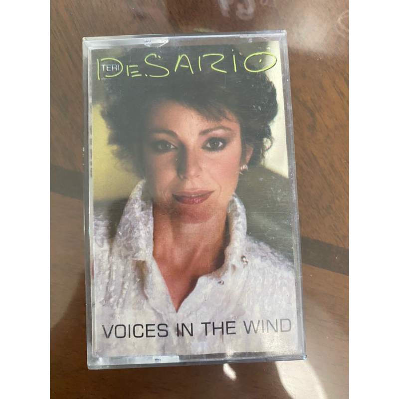 Teri Desario - Voices in the Wind - Original Music Album Cassette Tape ...
