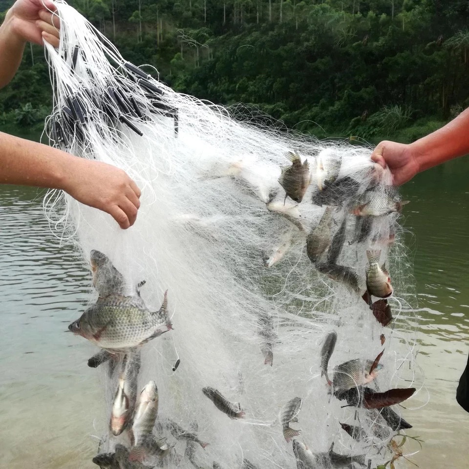 1/3 Layers White Lambat Fishing Net Fish Net Nylon 2fingers Net Hole ...
