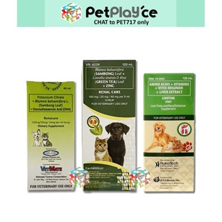 Renal Care Syrup 120ml / Papi Renacure 60mL / Livotine 120ml Liquid ...