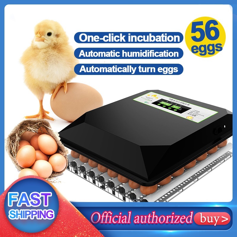 Egg incubator fully automatic 300 All-in-one hatching and brooding machine Automatic egg ...