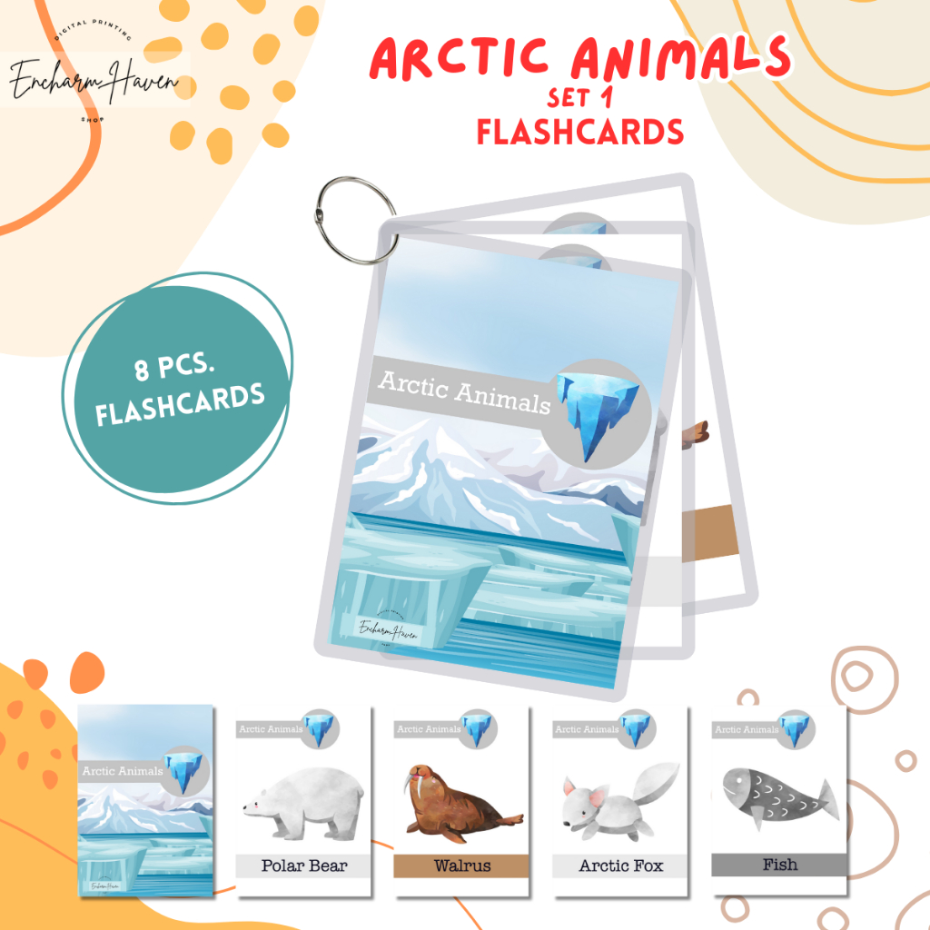 'ARCTIC ANIMALS' Fully Laminated Educational Flashcards [8 - 12 pcs ...
