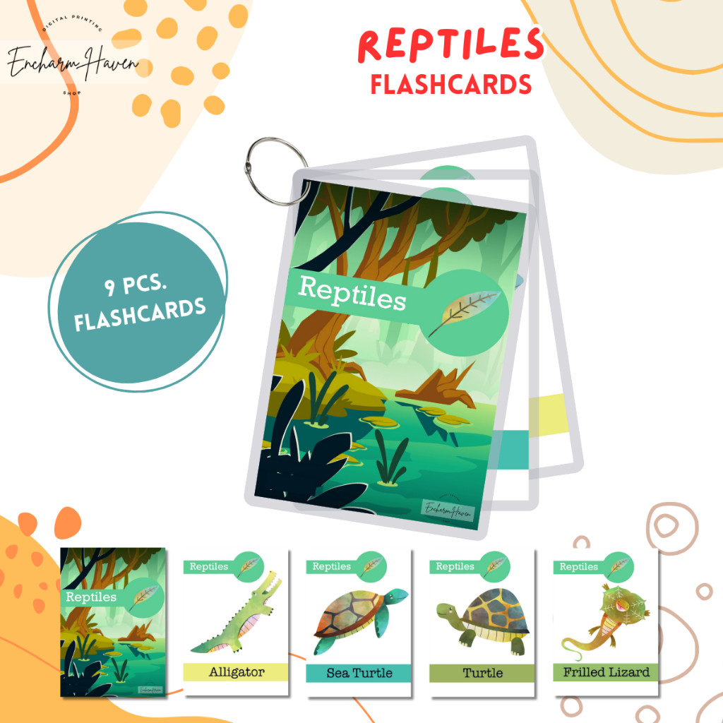 'REPTILES' Fully Laminated Educational Flashcards [9 pcs. Flashcards ...
