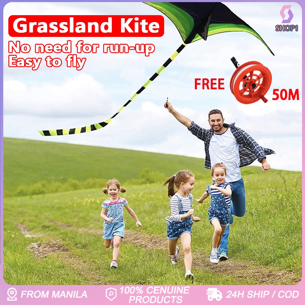 Garden kite for Kids and adult Long tailed Rainbow Kite Outdoor Beach ...