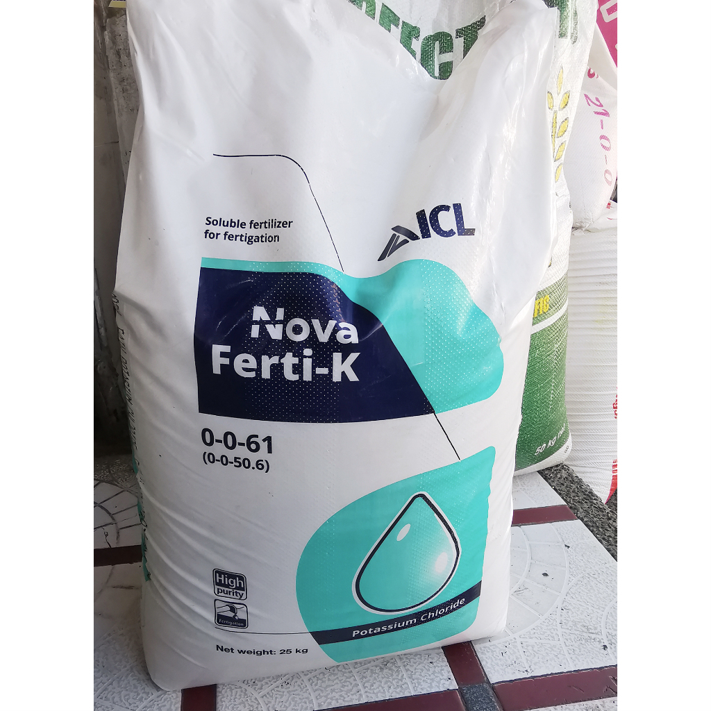 Nova Ferti K 0-0-61 Water Soluble Fertilizer High Potash 1kg Repacked ...