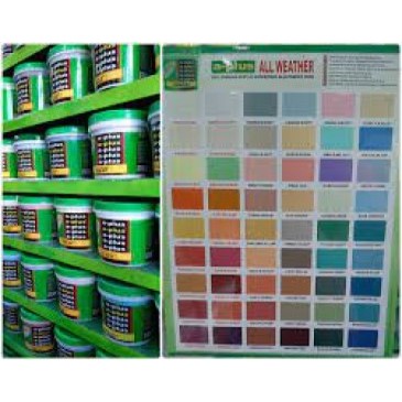 A-Plus All Weather 100% Premium Acrylic Waterproof Elastomeric Paint ...