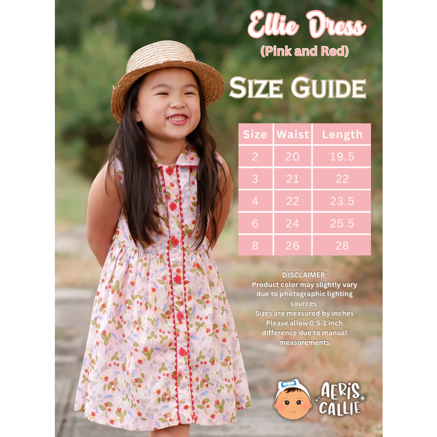 Ellie Dress (Pink Floral and Berries) for toddlers/kids girls 2 to 8 y ...