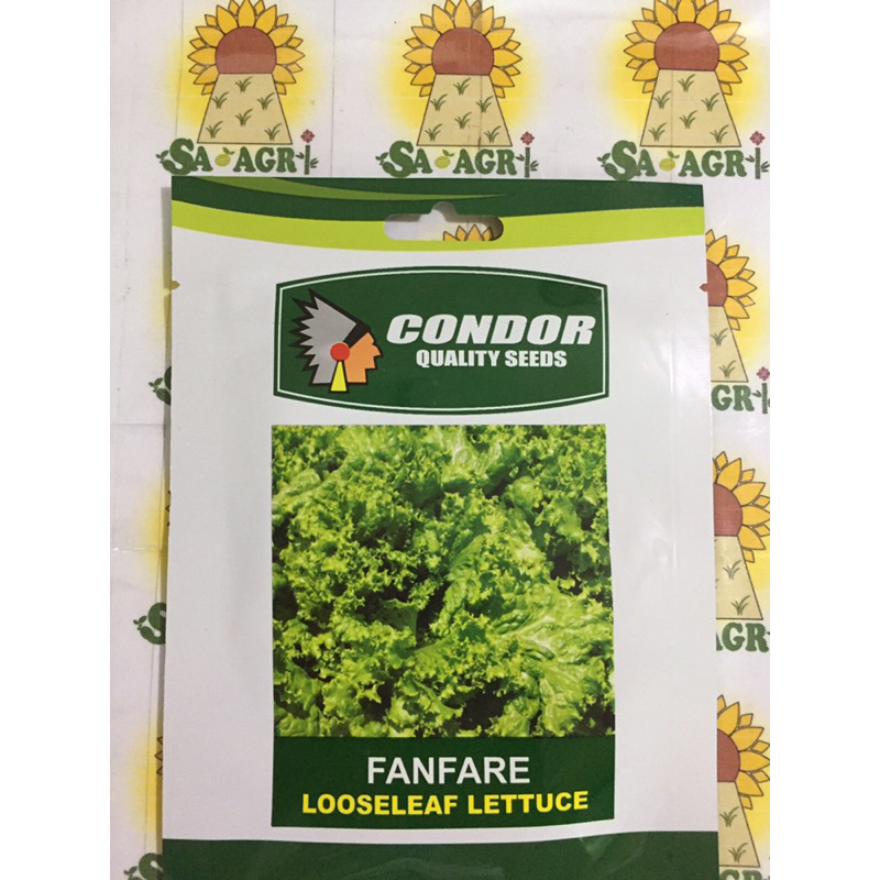 Fanfare Looseleaf Lettuce Seeds (3g) | Shopee Philippines