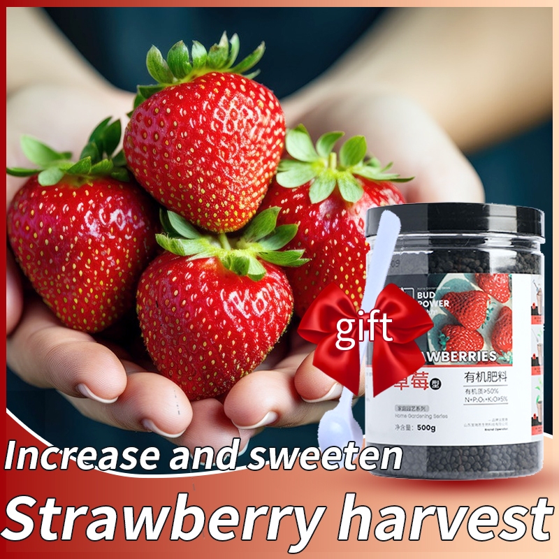 strawberry food 500g Specially formulated for strawberries | Shopee ...