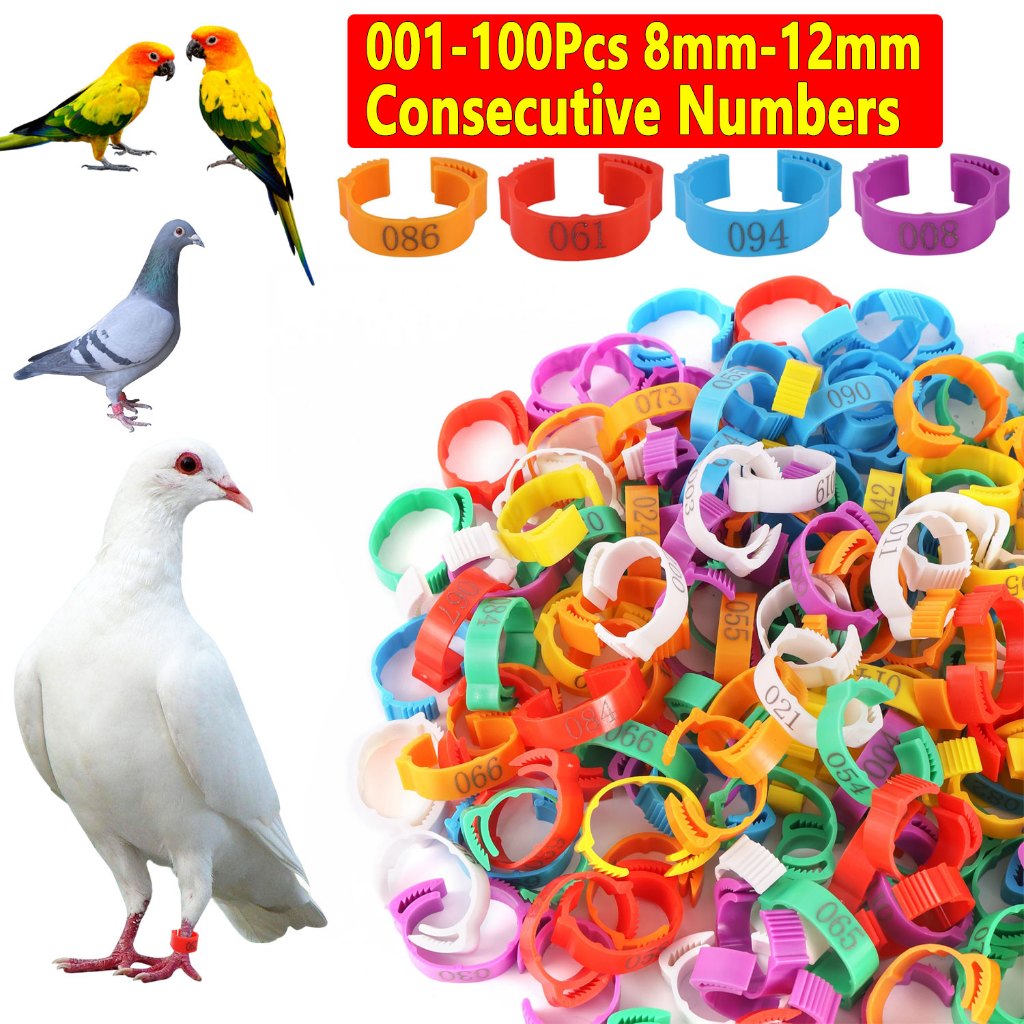 100Pcs 8-11mm Adjustable Bird Pigeon Clip on Leg Ring Numbered ...