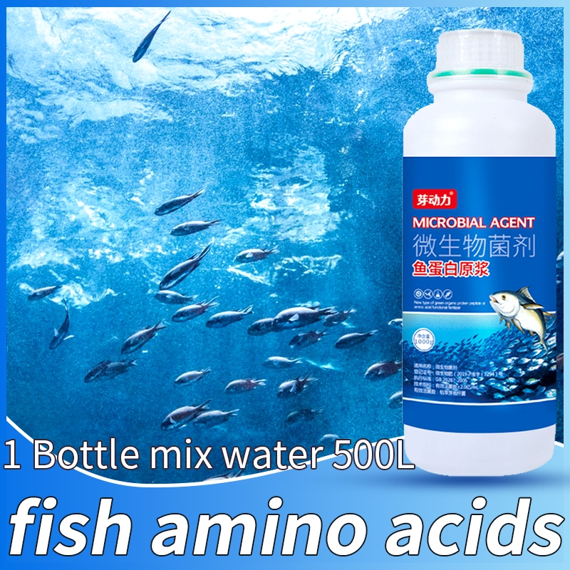 fish amino acids 1000ml fish amino acid food | Shopee Philippines