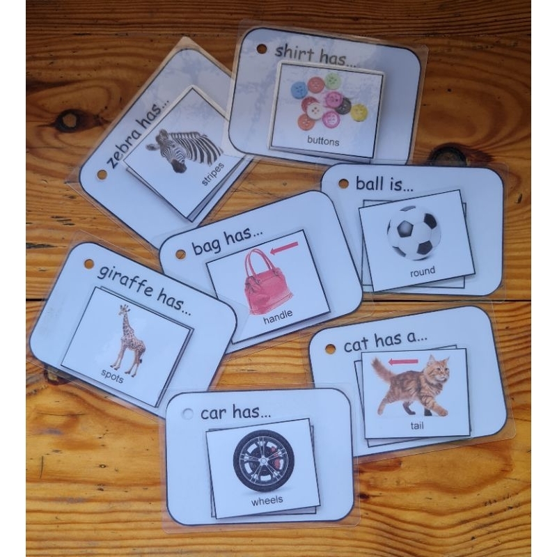 RECEPTIVE FEATURE FUNCTION CLASS (20 pcs.) for speech and ABA therapy ...