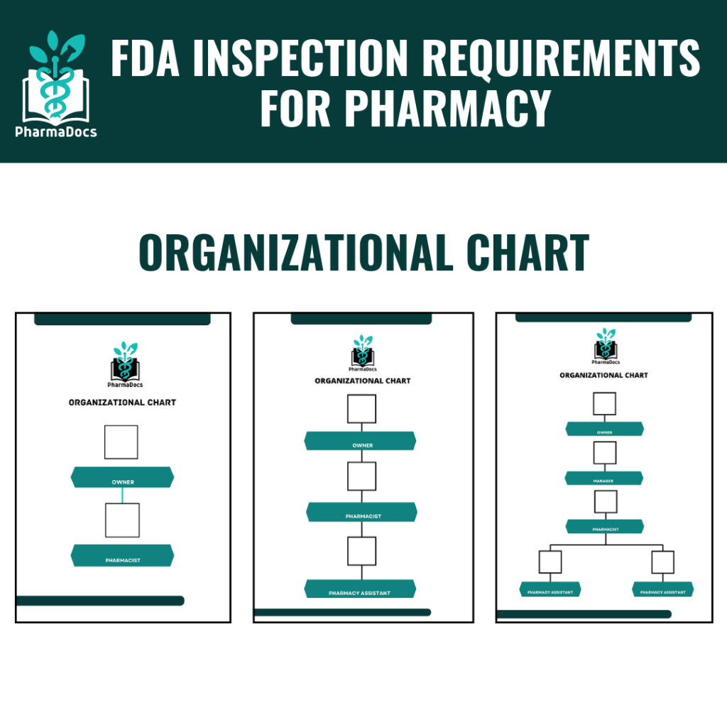 Organizational Chart for ESTABLISHMENTS - A4 Size | Shopee Philippines