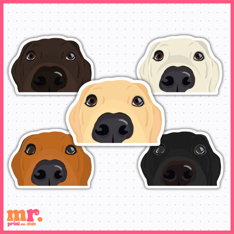 CURIOUS DOG PEEKER STICKERS | CUTE CURIOUS DOG LOVER | WATERPROOF ...