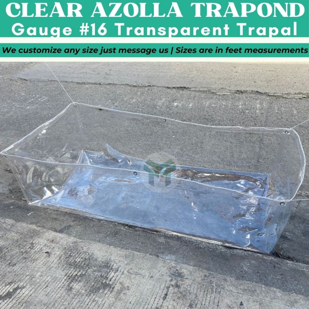 TRANSPARENT AZOLLA BEDS GAUGE#16 AZOLLA POND TRANSPARENT CLEAR TRAPOND ...