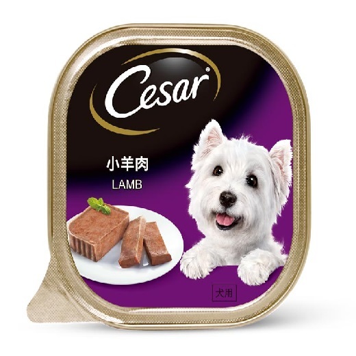 Cesar Lamb Wet Dog Food 100g | Shopee Philippines