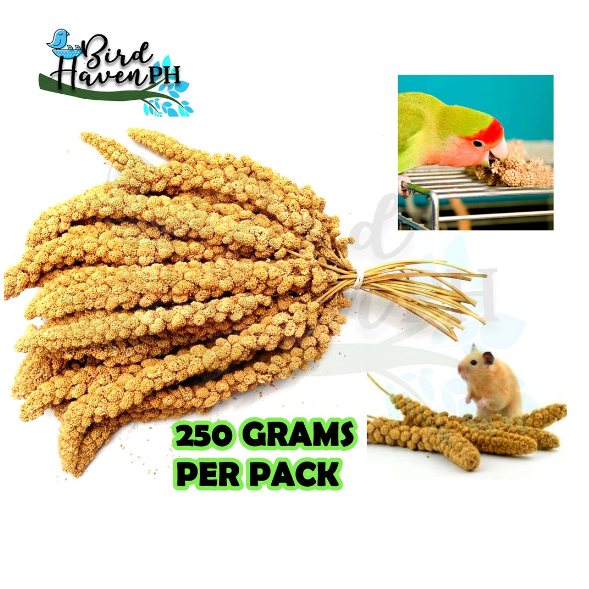 The Bird Haven Ph Millet Spray 250grams, Red or Yellow Millet bird seed ...