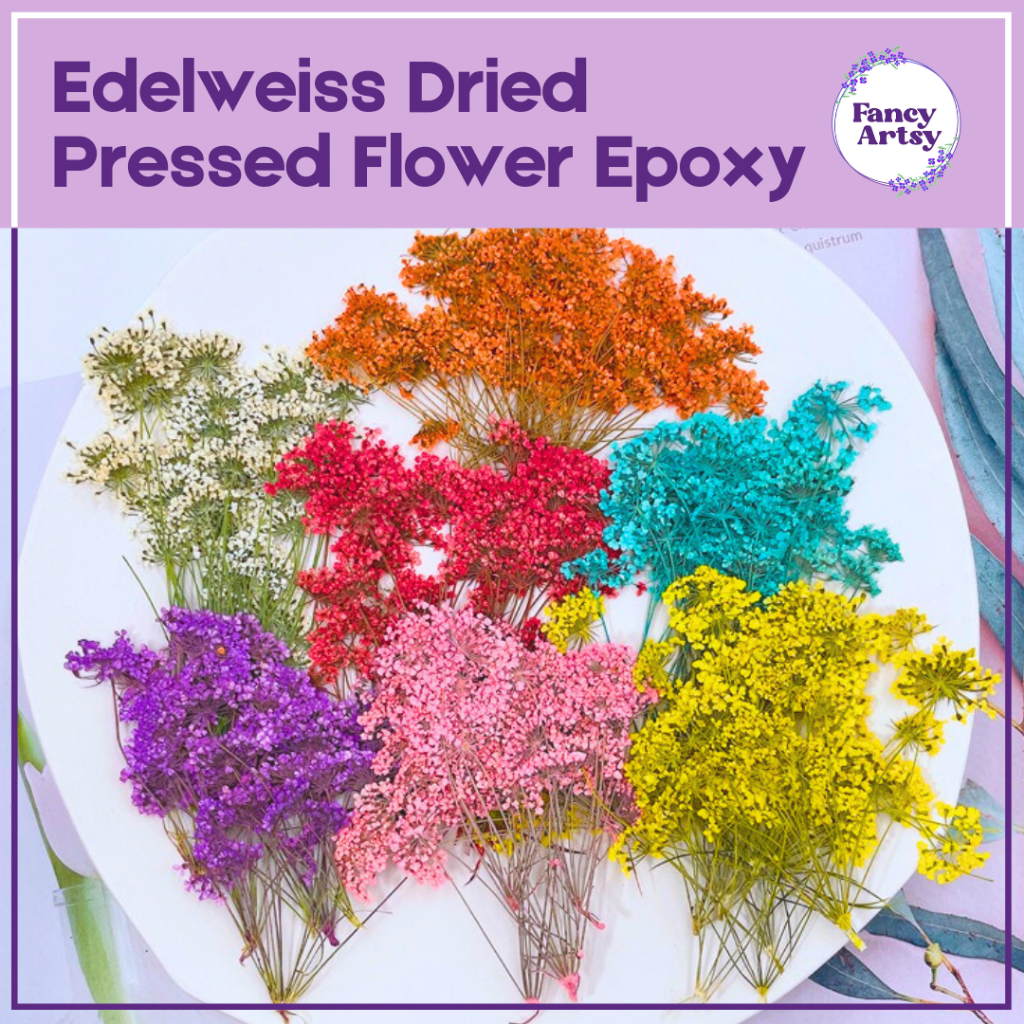 Fancyartsy 6pc Edelweiss Dried Pressed flower Epoxy DIY pressed flower ...