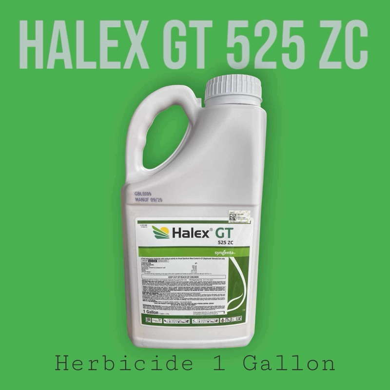 HALEX GT (Glyphosate Tolerant) 525ZC 4 Liters | Shopee Philippines