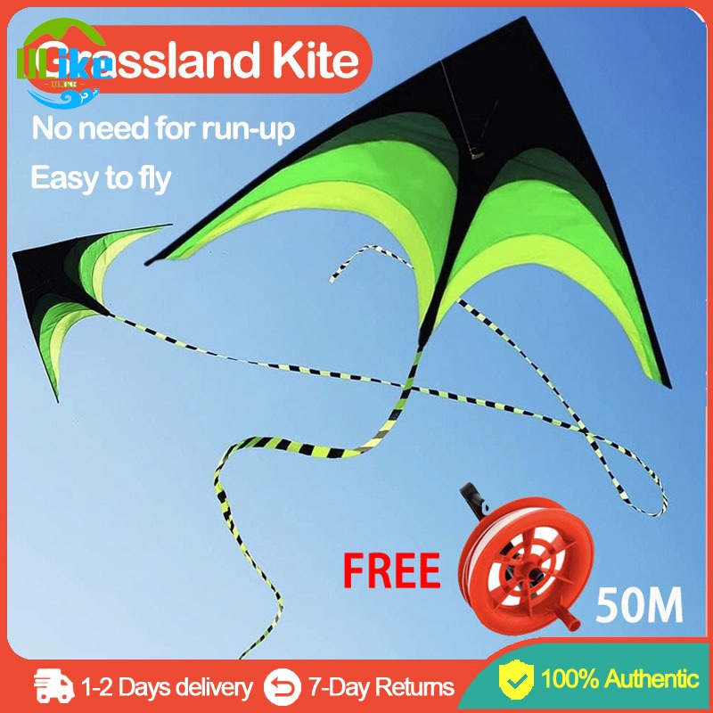 Long Tail Rainbow Kite with 50m Kite String Grassland Beach Sport Kite ...