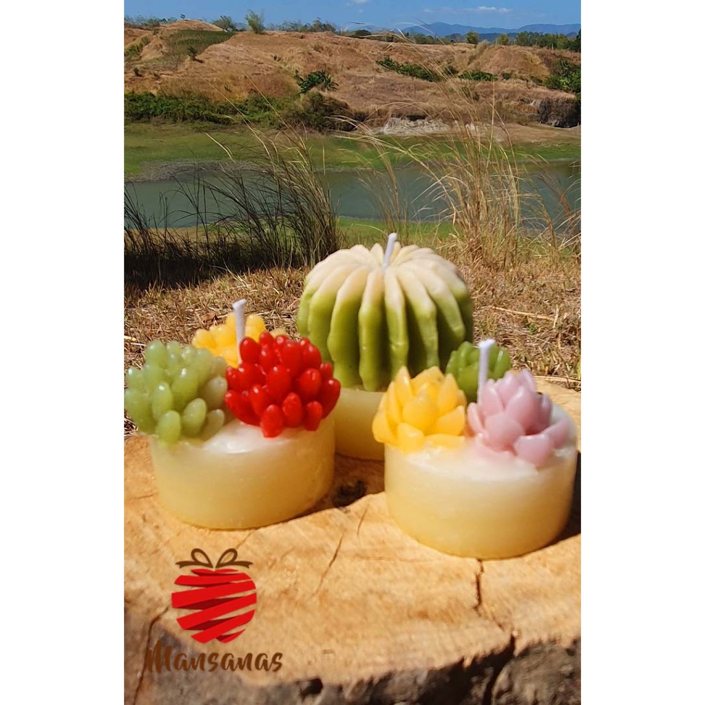 Mansanas Personalized Succulent Candle Anti-Lamok Anti Mosquito ...
