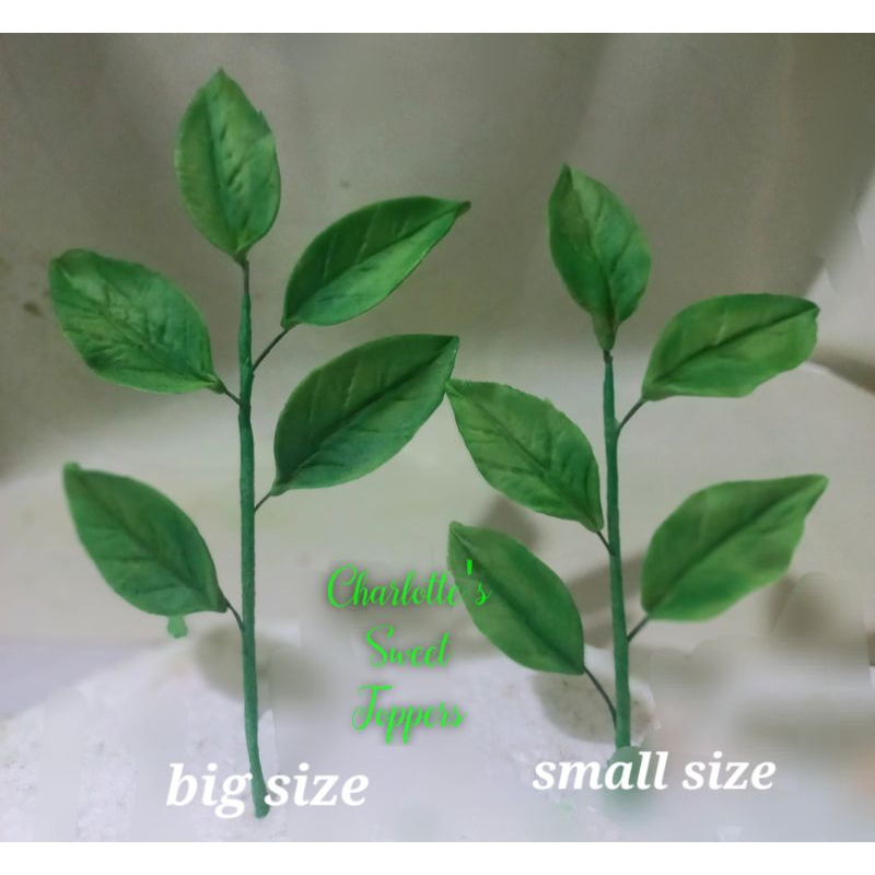 EDIBLE GUMPASTE LONG LEAVES FOR CAKE DECORATION (PRE-ORDER) | Shopee ...