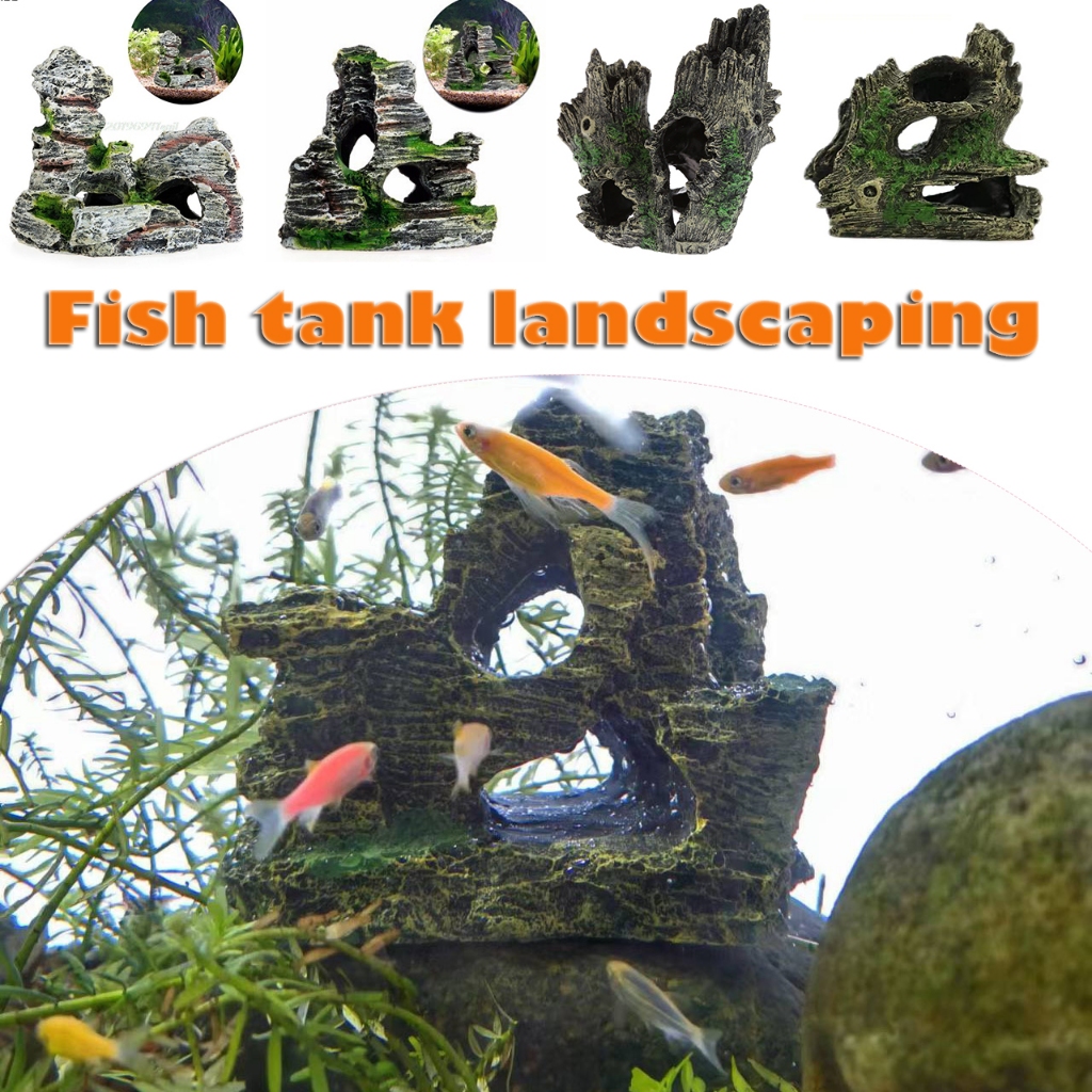 Fish tank landscaping fish and shrimp crawling avoiding bark tree holes ...