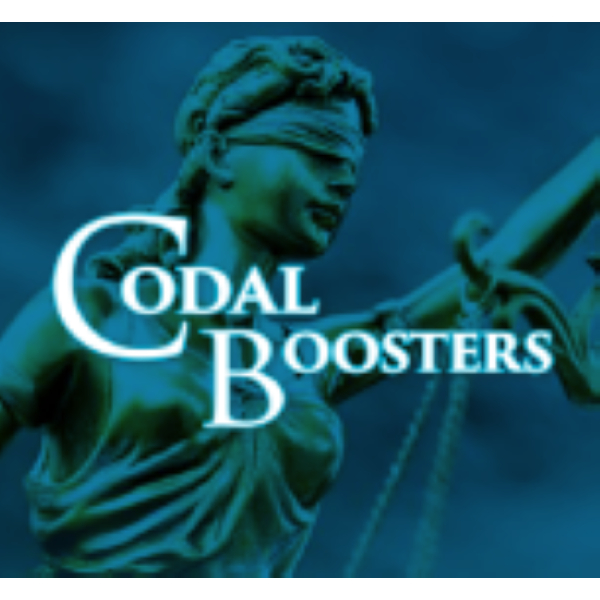 Codal Boosters for Commercial Law ( 2022 Edition) | Shopee Philippines