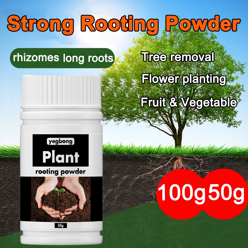 Rapid Rooting powder for plants rooting hormone No harm to plant roots ...