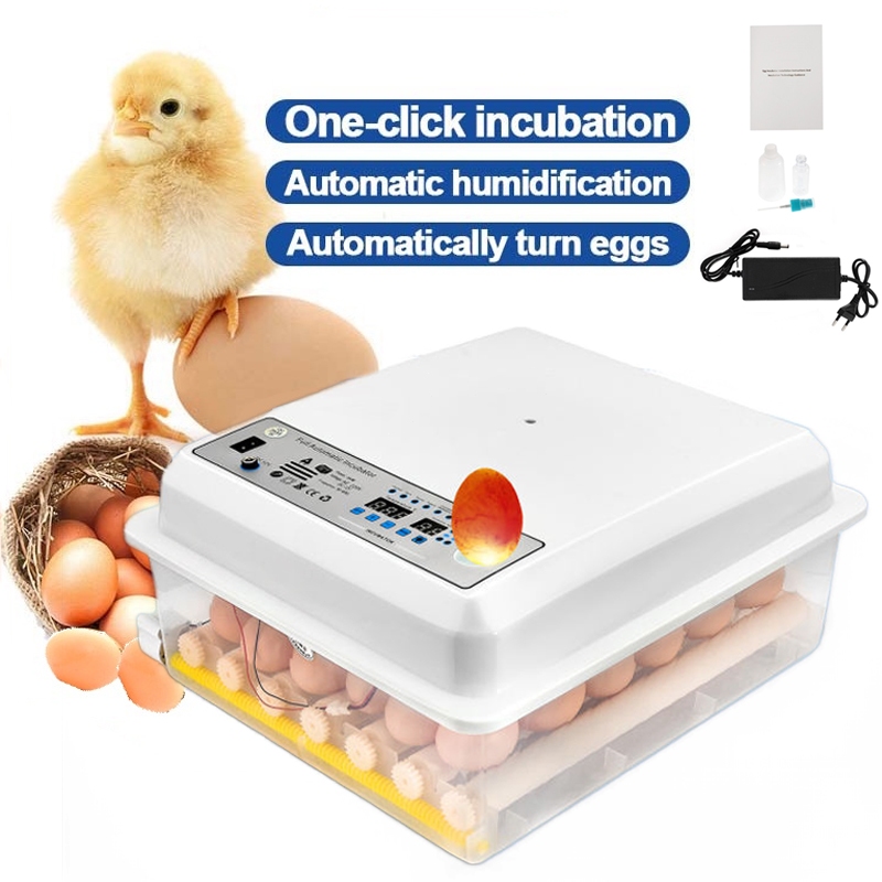 16Eggs Fully Automatic Incubator Digital Display Incubator 220V/12V ...