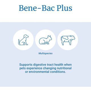 (12/2025) PetAg Bene-Bac Plus FOS & Probiotics Benebac Pet Gel (15g ...