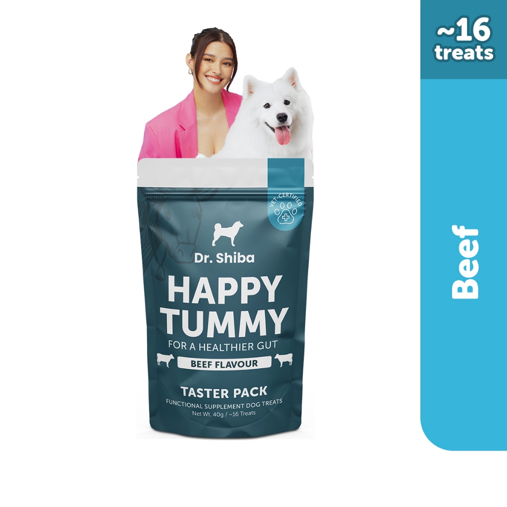 Dr. Shiba Happy Tummy Taster Pack - Beef 40g Dog Treats Snack - Dog ...