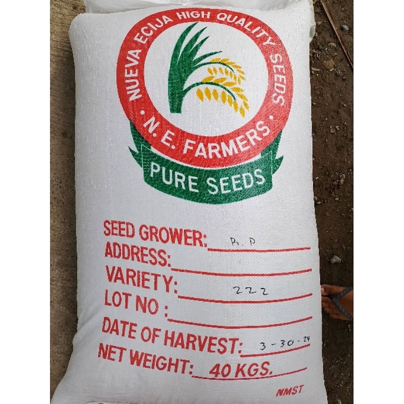 PALAY BINHI TRIPLE 2 CERTIFIED SEEDS HIGH GERMINATION RATE | Shopee ...