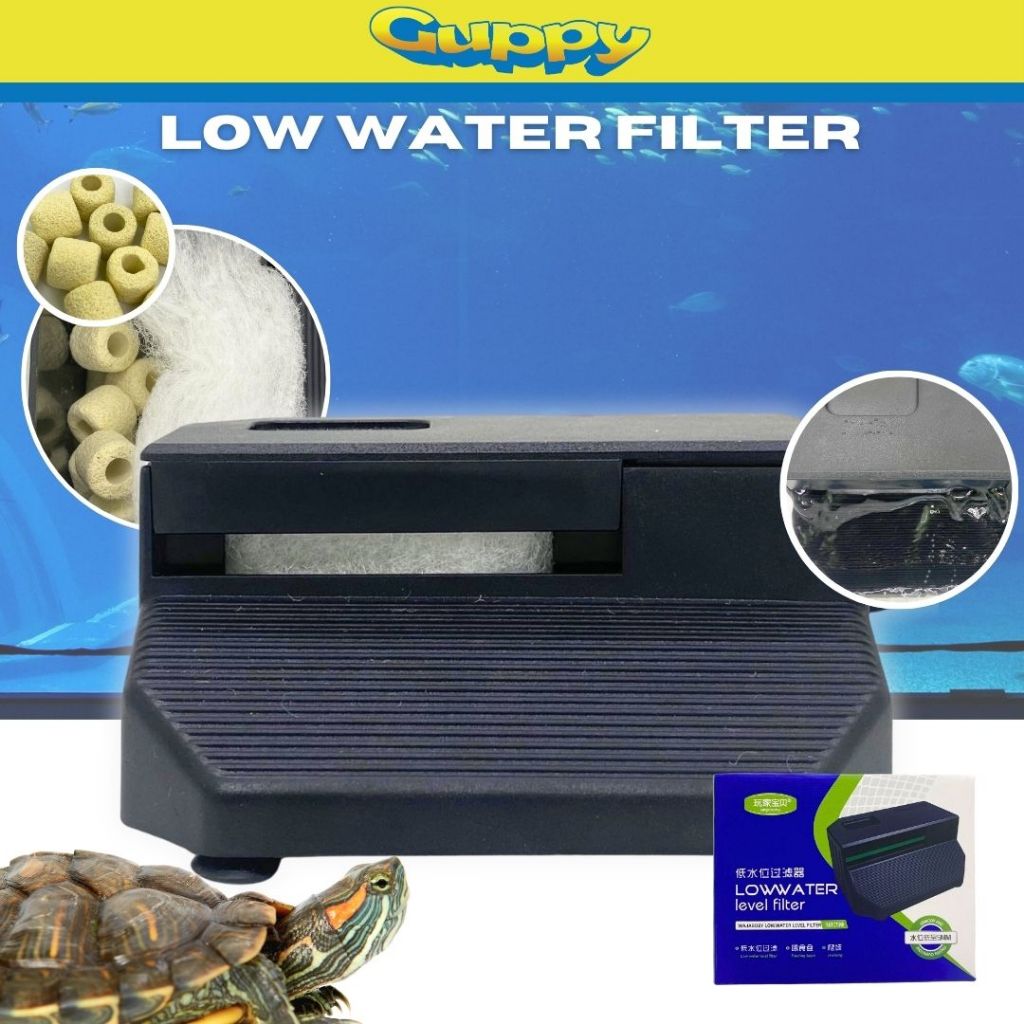 Low Water Level Filter for Turtle Tank and Reptile Tank Feeding Basin ...