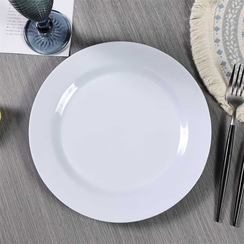 HALLOMALL 1pc 8/9/10inch Ceramic Plates Classic Looking Pure White ...