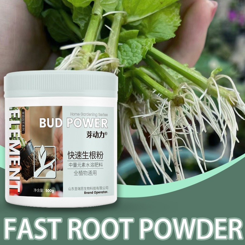 rooting powder for plants 500 G from Japan | Shopee Philippines