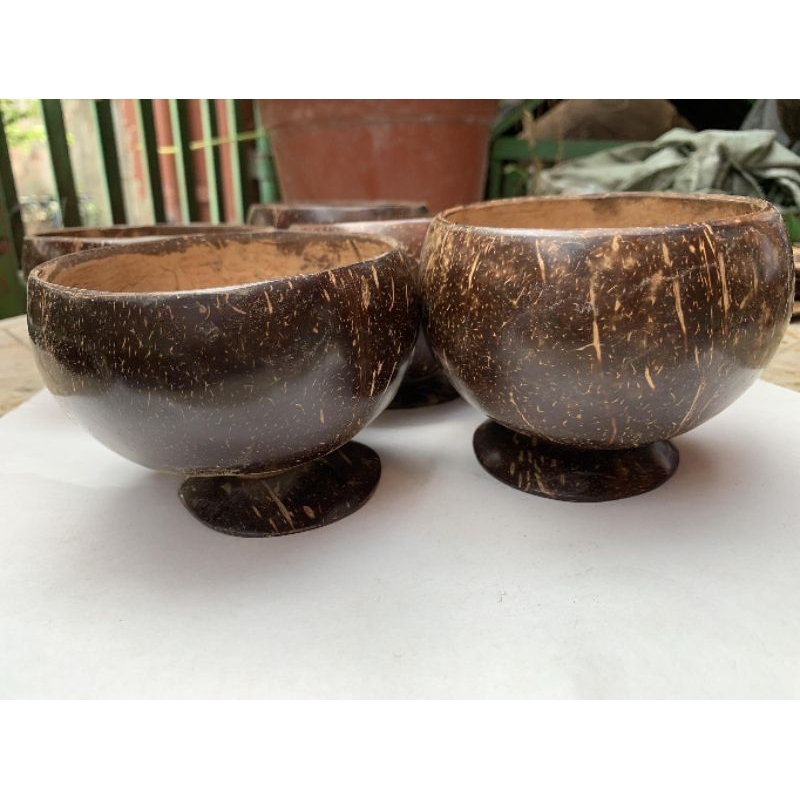 Coco Pots for Small Plants | Shopee Philippines
