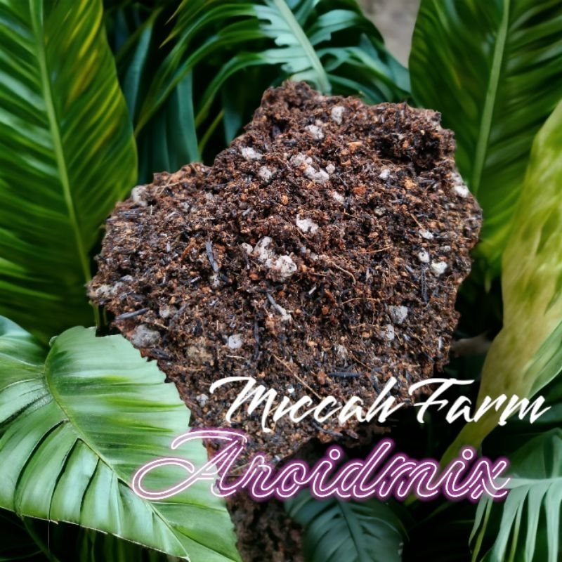 Aroid mix soil| Aroid mix | aroidmix | Shopee Philippines