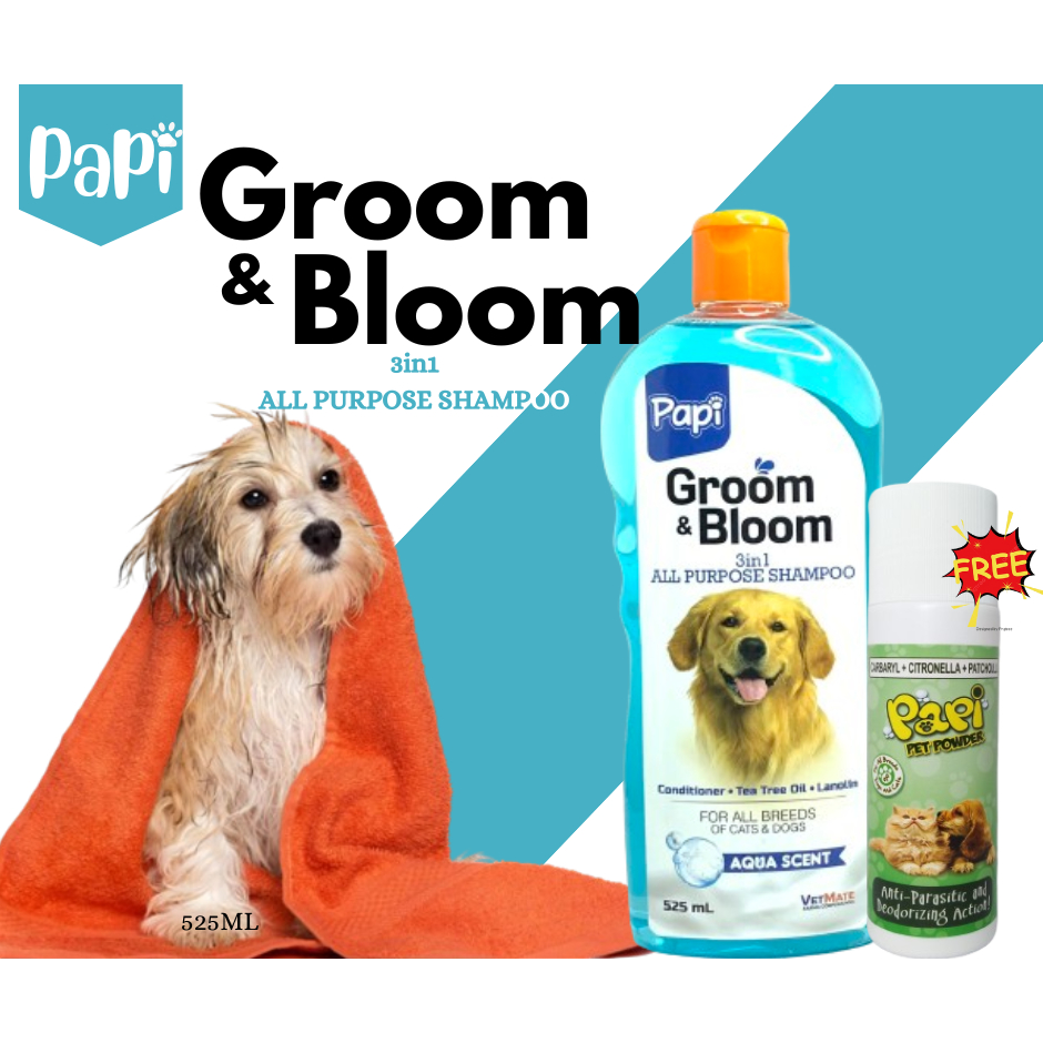 [RCG AGRIVET]PAPI GROOM AND BLOOM 3IN1 ALL PURPOSE SHAMPOO WITH FREE ...
