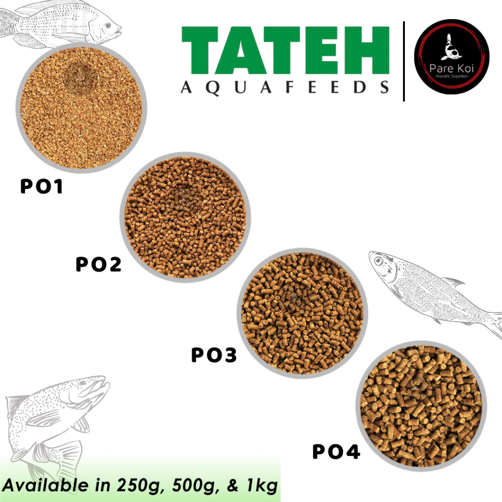 Tateh Fish Food PO1 | PO2 | PO3 | PO4 Sinker Sinking Pellets 250g 500g ...