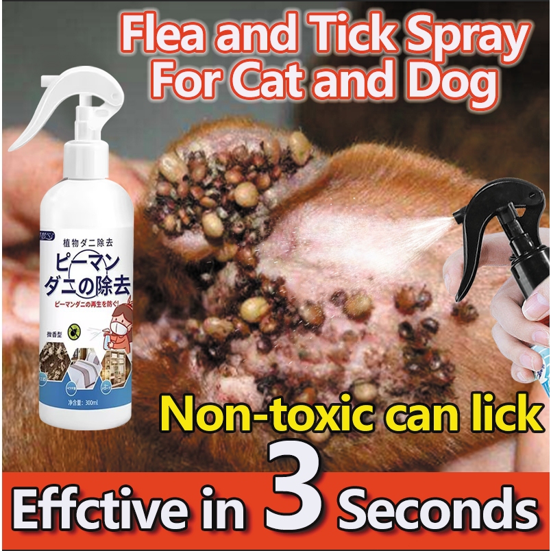 Japan Anti Flea And Tick For Dogs Spray Garapata Remover For Dog Anti ...