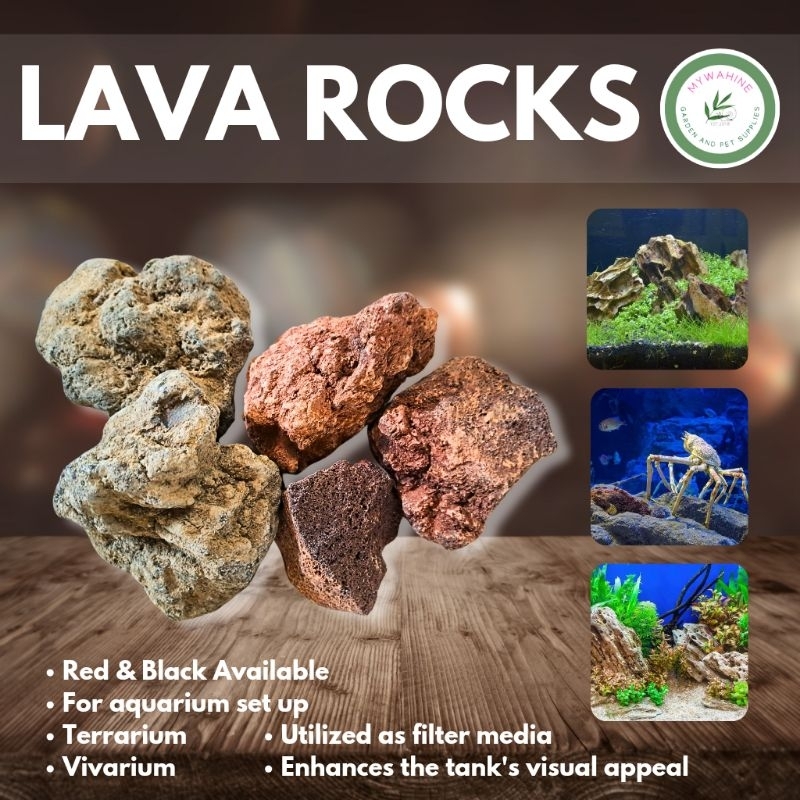 LAVA ROCKS RED BLACK AQUARIUM FISH TANK AQUASCAPING GARDEN LANDSCAPING ...