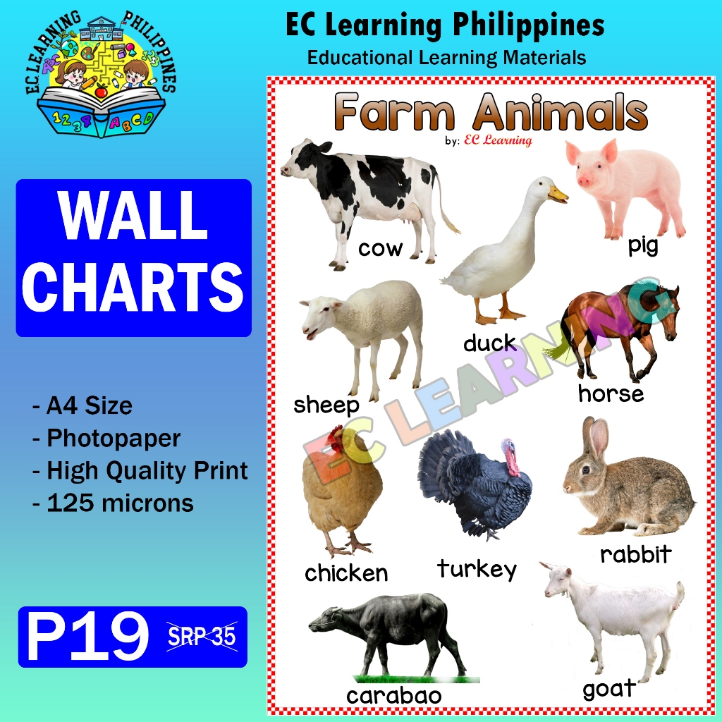 FARM ANIMALS Laminated Educational Wall Chart for kids - EC LEARNING ...