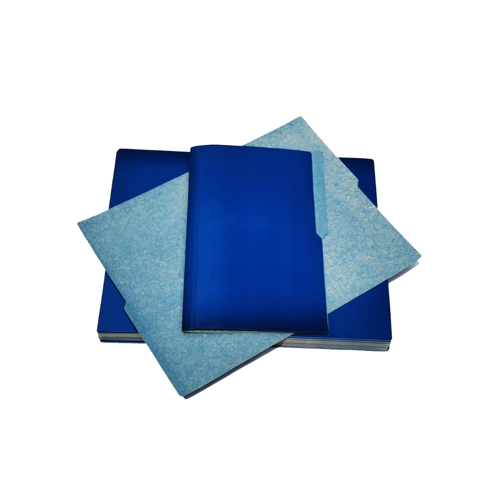 File Folder Long (Unfolded) Pack of 100 pcs. | Shopee Philippines