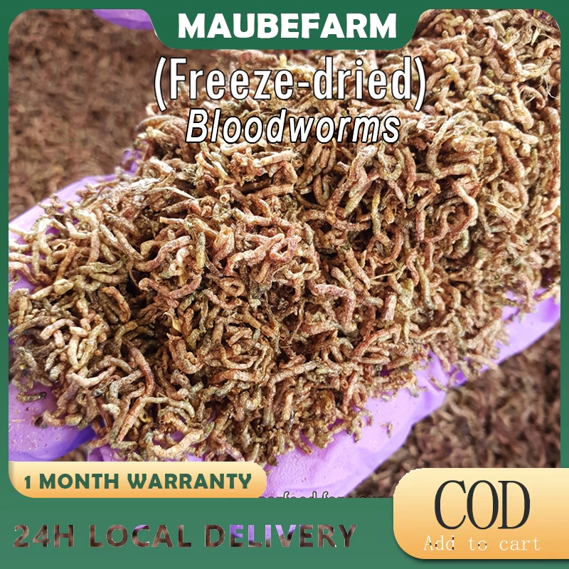 20g/40g/1000g Freeze Dried Bloodworm Fish food for betta guppy ...