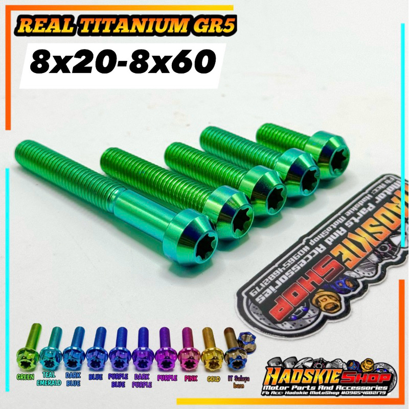 REAL TITANIUM GR5 8x20/8x25/8x30/8x40/8x60 Pillar/Tube type Head (Sold ...
