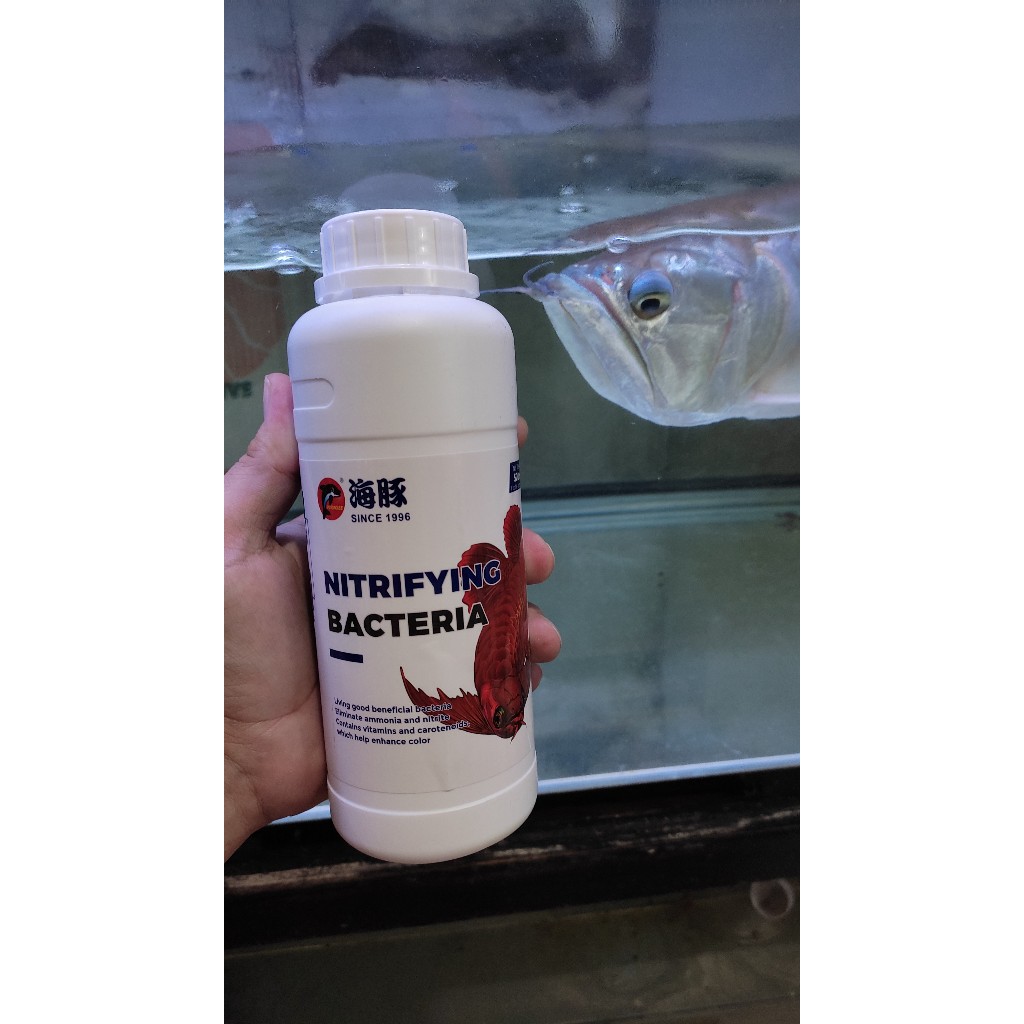 porpoised nitrifying bacteria 500ml | Shopee Philippines