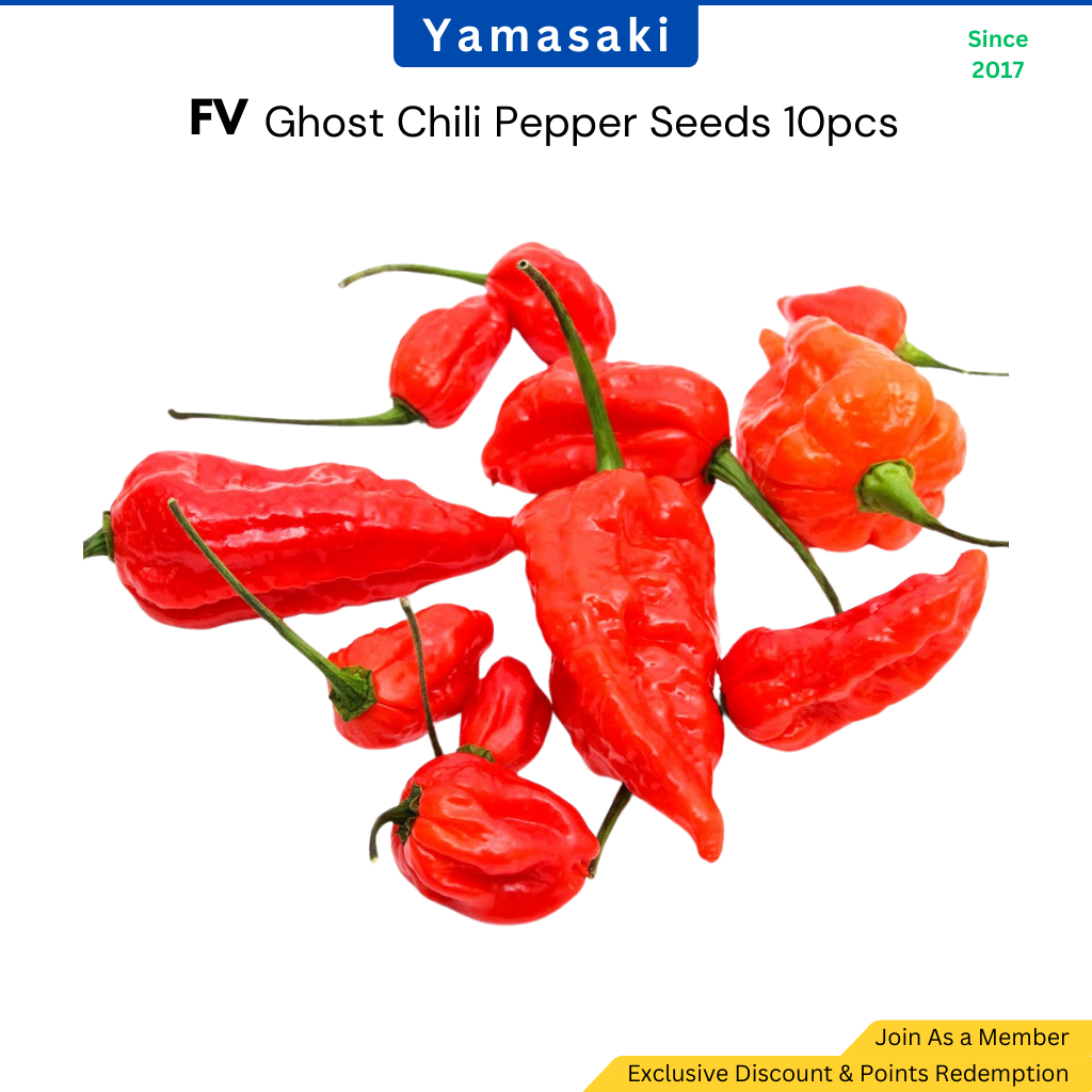 FV Ghost Chili Pepper Seeds 10pcs | Bhut Jolokia | Carolina Reaper ...
