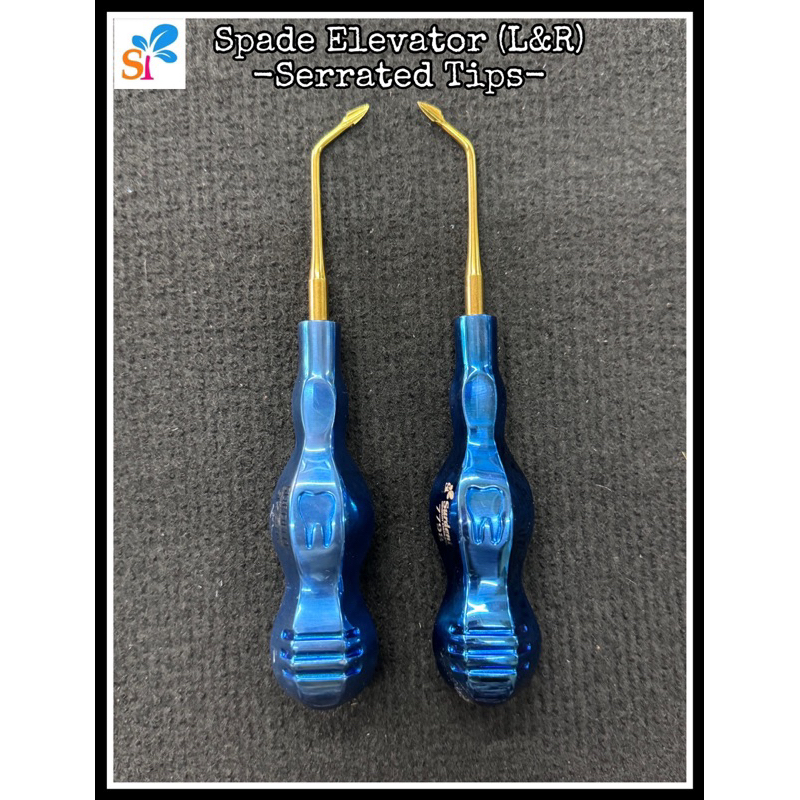 Spade Elevator L&R with serrated tips SURDENT Germany Stainless ...