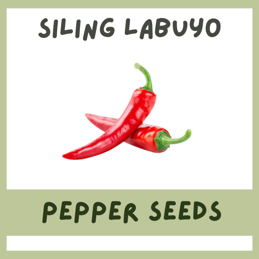 Siling Labuyo Seeds Pepper Seeds Vegetable Seed Gulay Seeds for ...