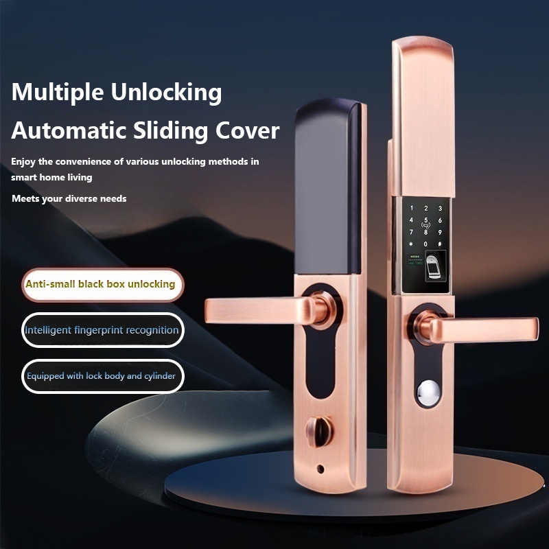 Biometric Smart Door Lock - Electronic Fingerprint and Digital Password ...